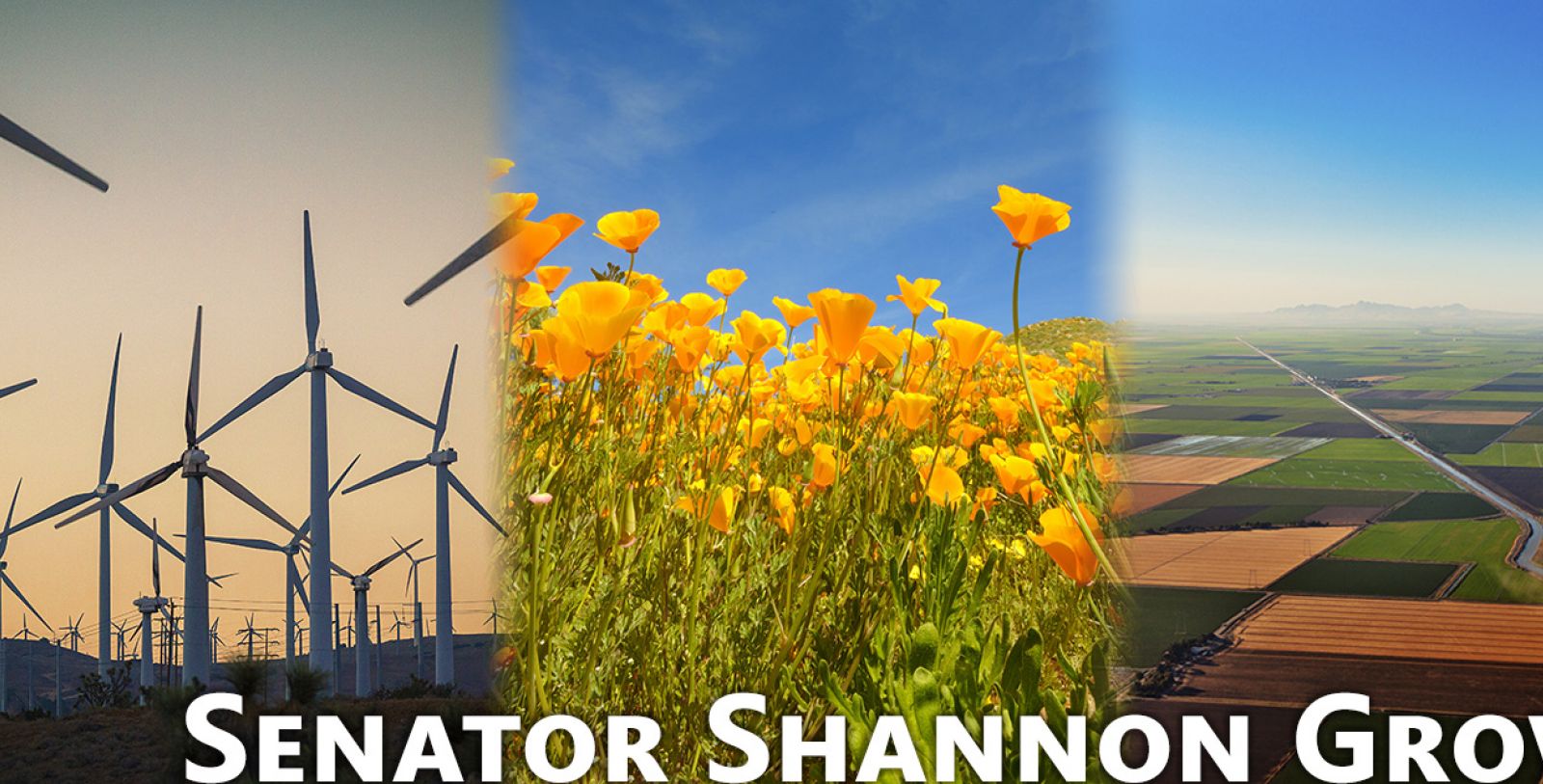 Homepage | Senator Shannon Grove