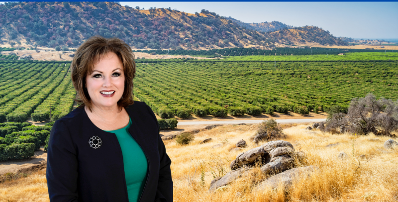 Homepage | Senator Shannon Grove