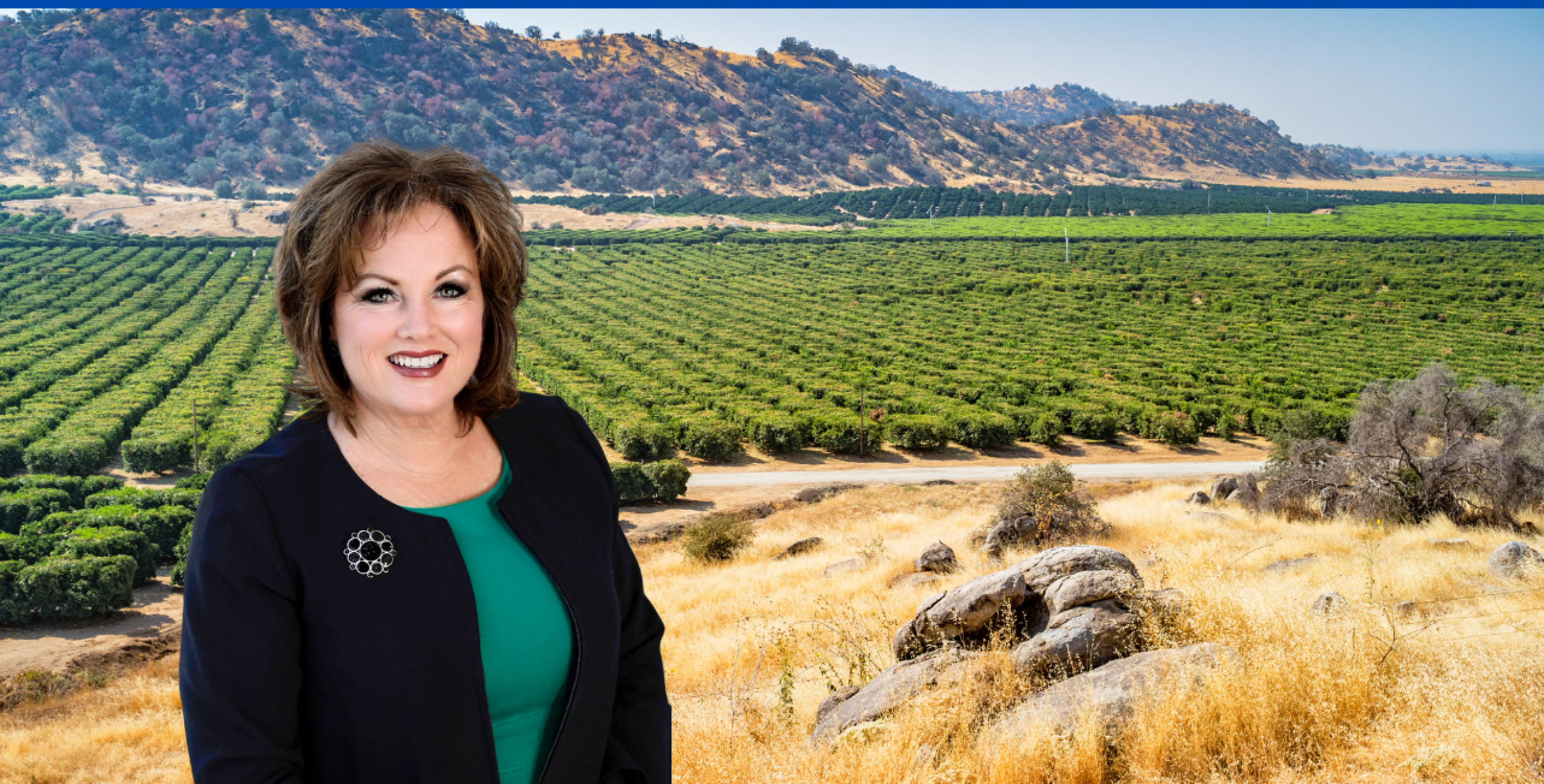 Homepage | Senator Shannon Grove